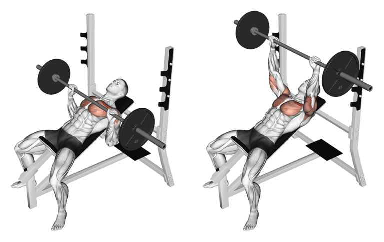 L'exercice Chest Press : Exécution, Conseils et Variantes