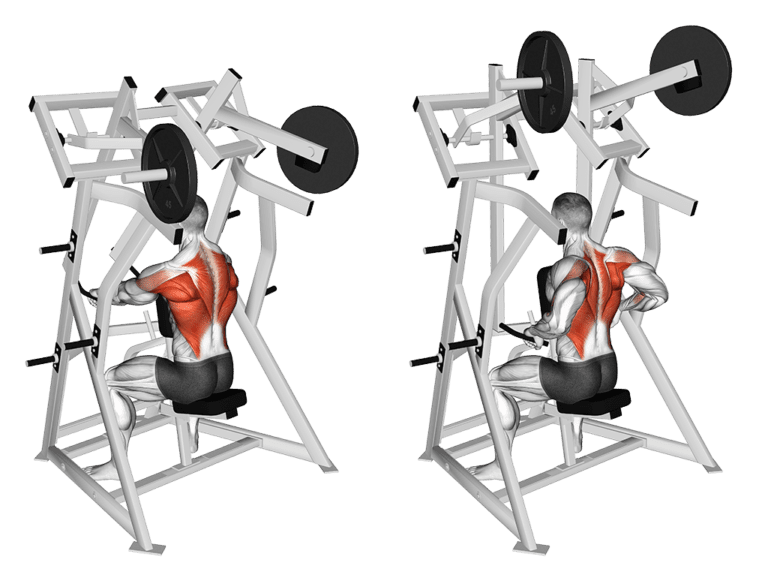 Rowing Machine : Un exercice efficace pour muscler le dos