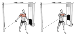Push Pull Legs : Le programme d'entraînement en 3 à 6 jours
