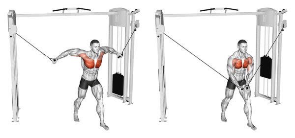Programme Pectoraux - Salle de sport ou à la maison - Louis Move