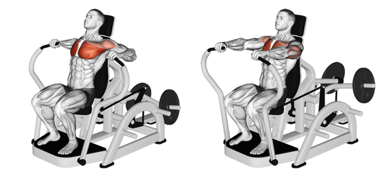 L'exercice Chest Press : Exécution, Conseils et Variantes
