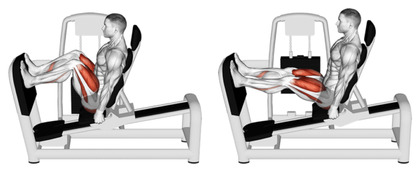 Presse à Cuisses ou Leg Press : Exécution, Conseils et Variantes